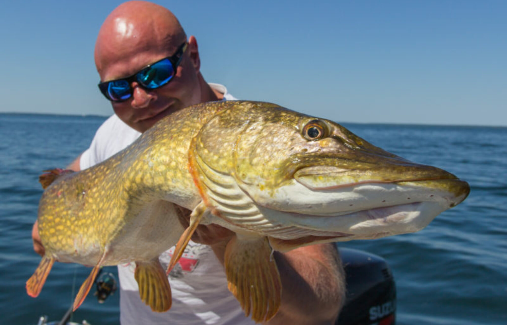 hechtangeln-mueritz - Angeltouren Mirow